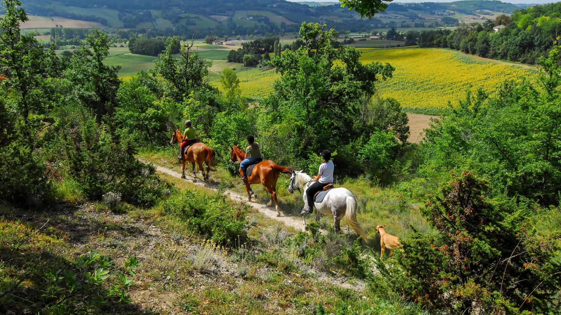 Boucles de randos pédestres | Tarn-et-Garonne Tourisme